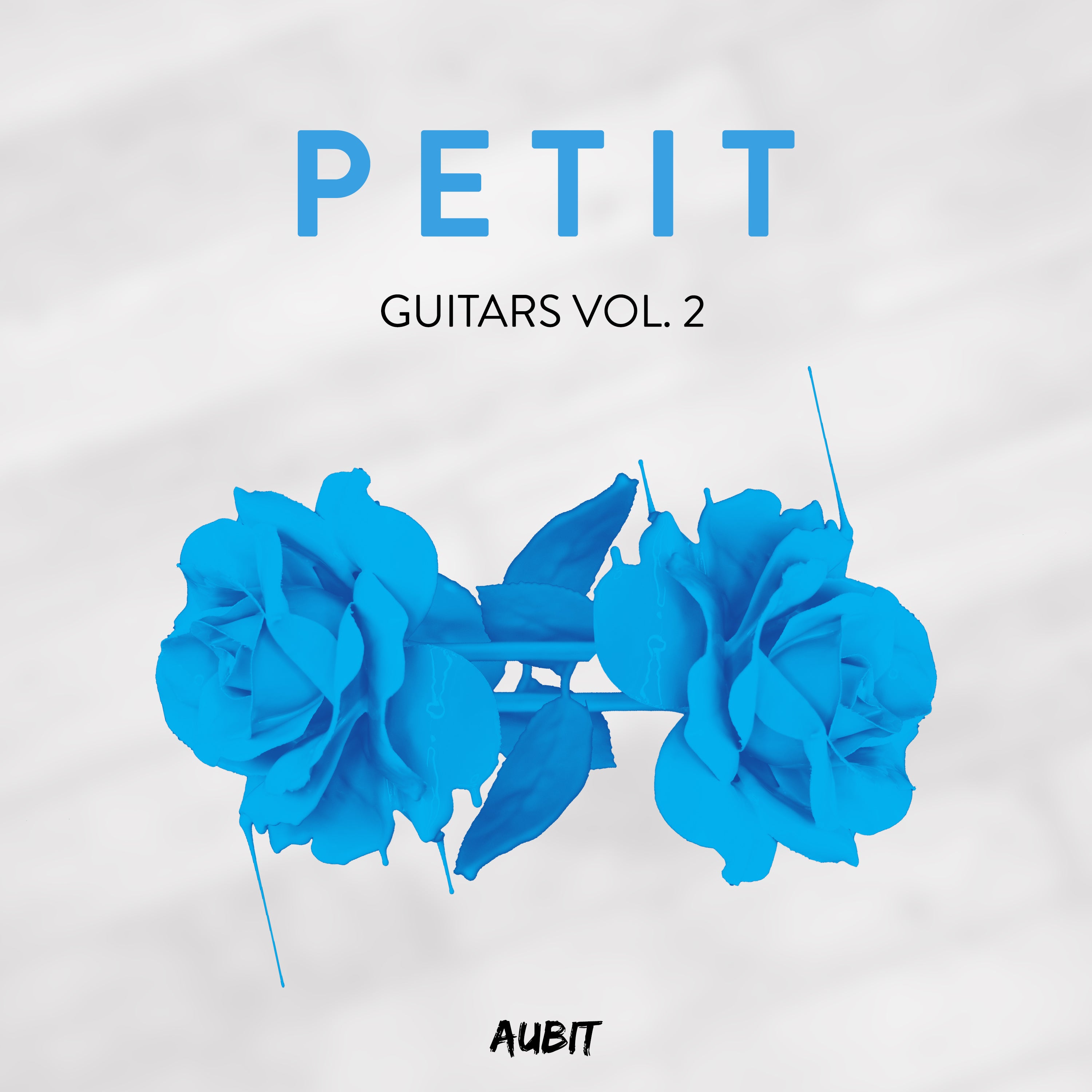 Petit Guitars Vol. 2 – AUBIT